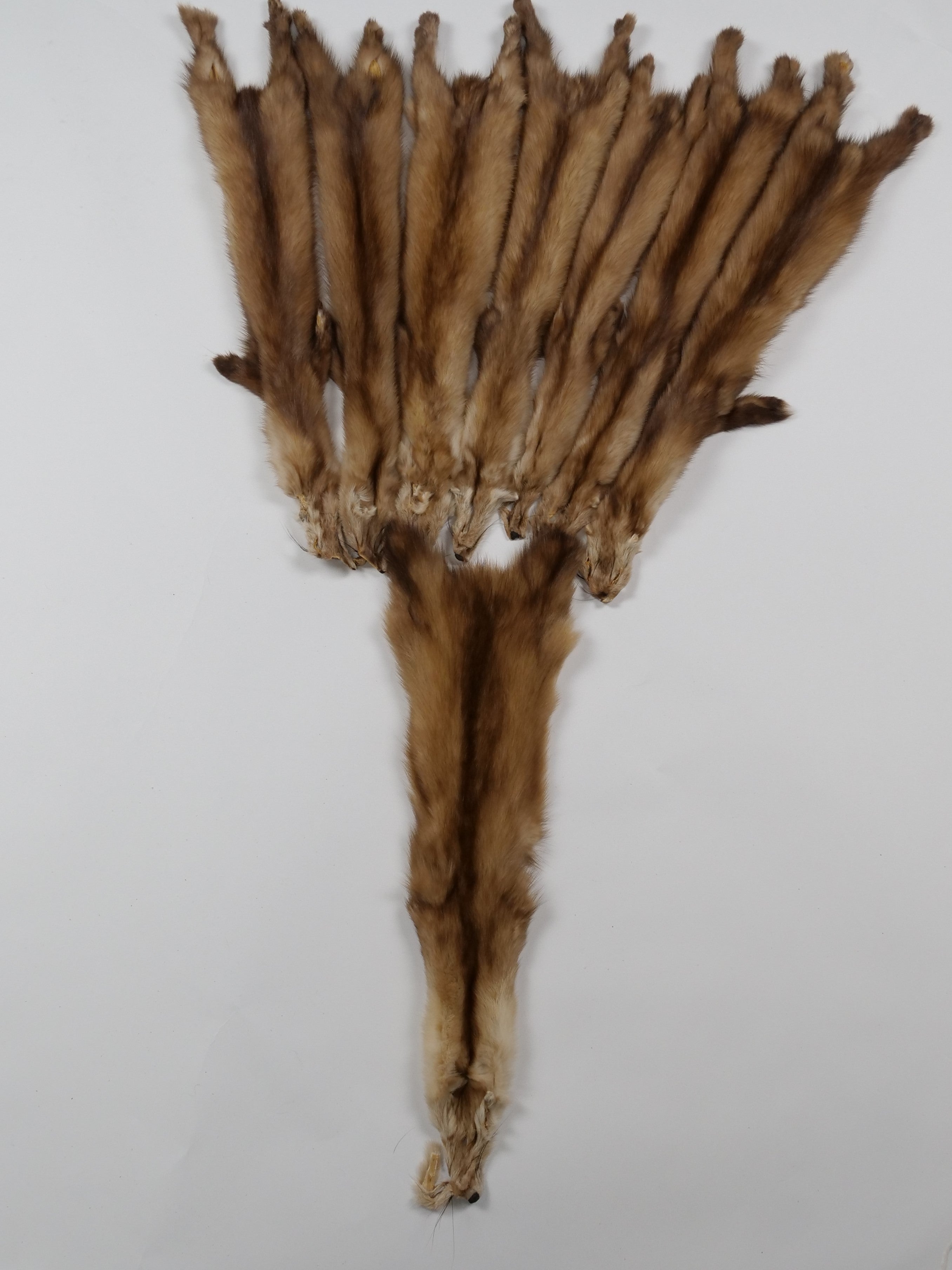 Marten - Dressed Fur Skin - Fur – Stampe Denmark